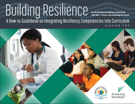 Building Resilience: A How-to Guidebook on Integrating Resiliency ...